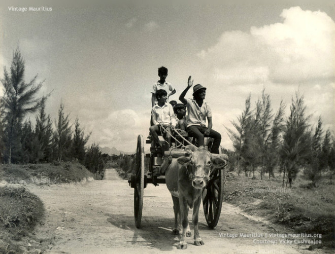 Ox Cart Beach Children Playing Enjoying Mauritius 1960s - Vintage Mauritius
