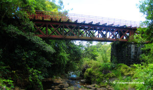 Mauritius Government Railways: The Remains of the Savanne Branch ...